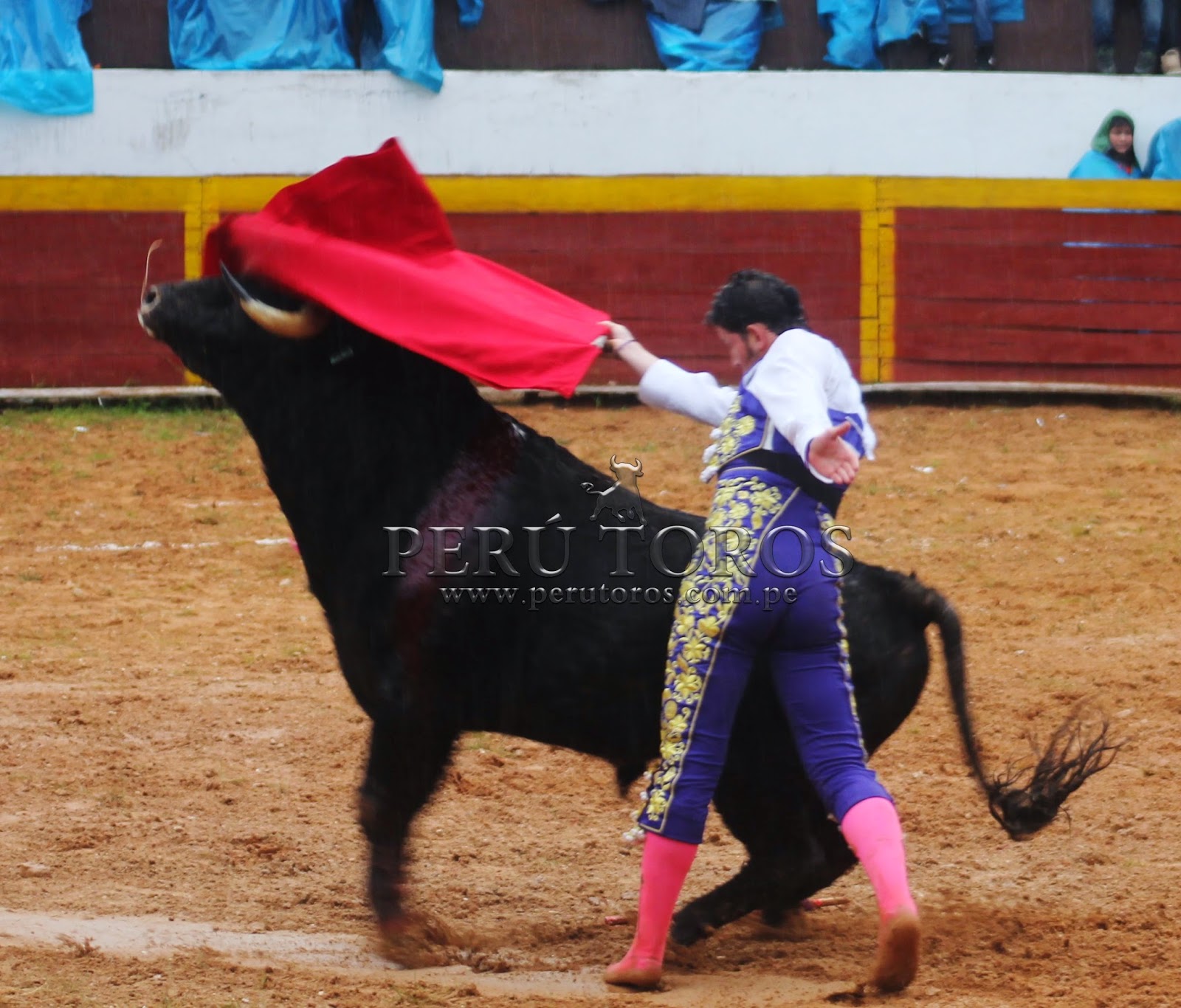 PERÚ TOROS: CRISTÓBAL PARDO TRIUNFA EN EL CIERRE DE JESÚS
