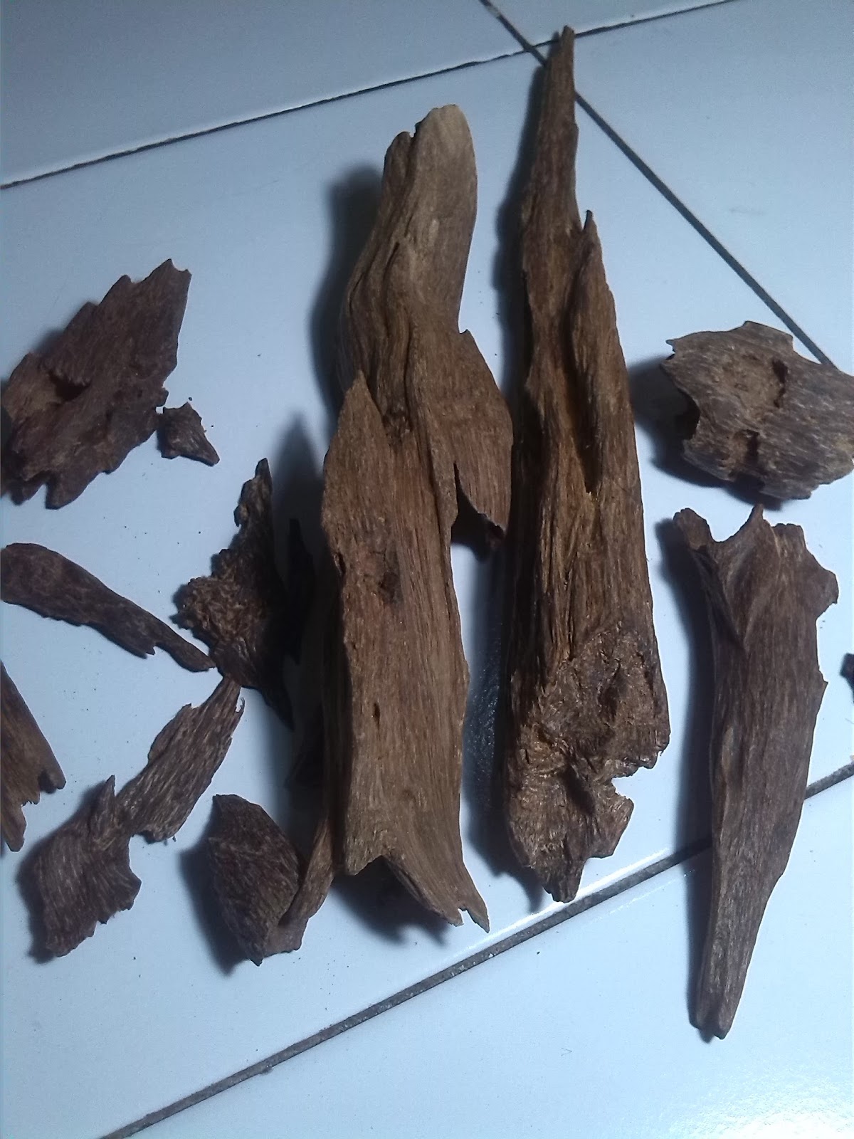 Jual Kayu Gaharu: Jual Gaharu Kalimantan Malinau