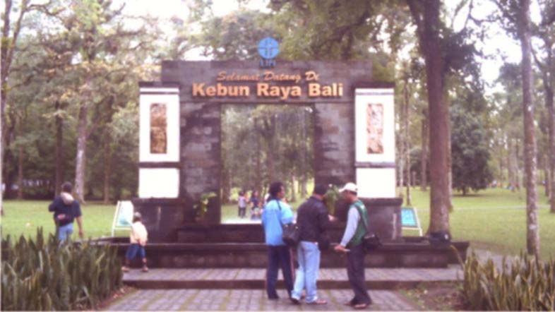 Hanya Ingin Berbagi: Taman Raya Bedugul, Bali