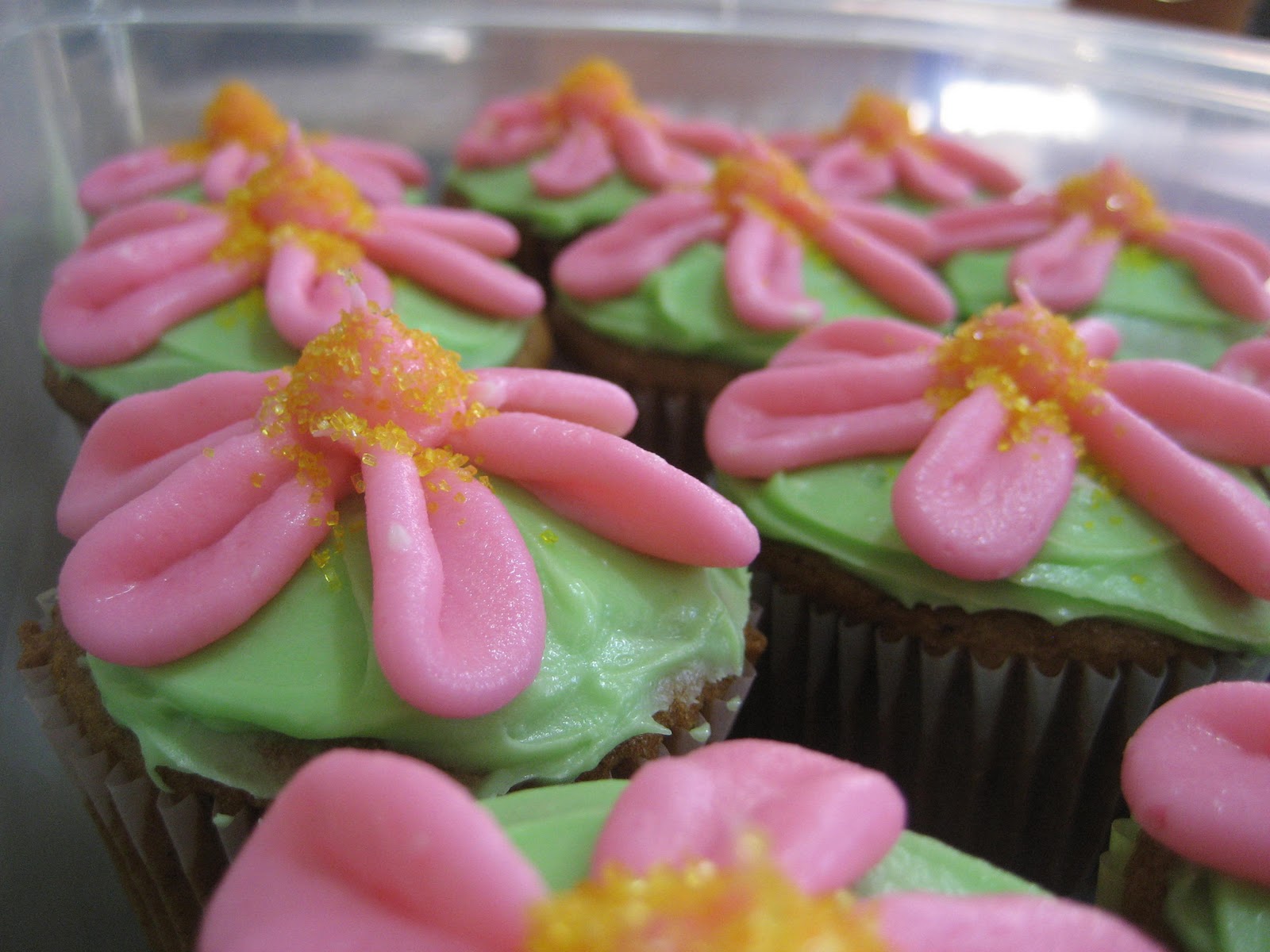 Teacher, Baker, Gourmet Meal Maker: 2011