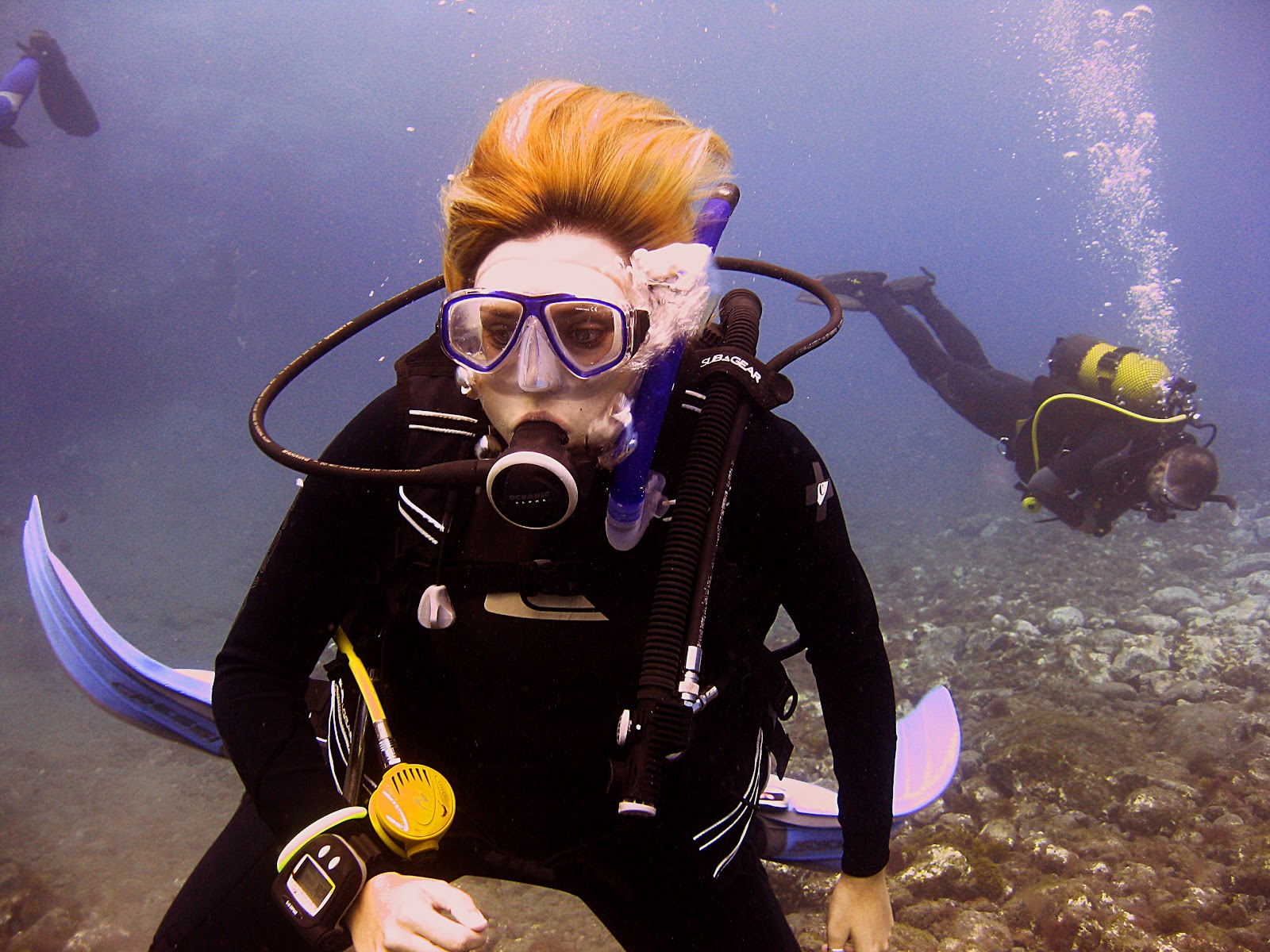 Amarilla Divers Tenerife: Dive Master Intern update.
