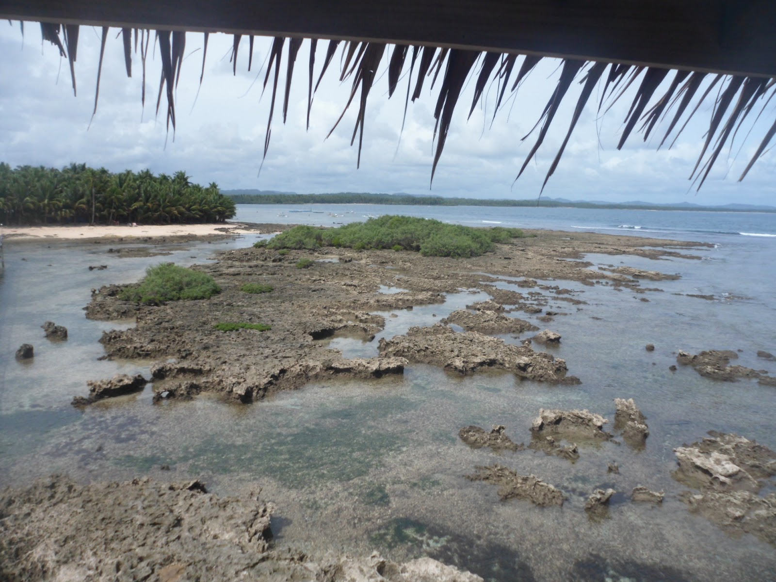 Ocean 101 Cloud 9 Beach Resort: cloud 9 surf report siargao islands ...
