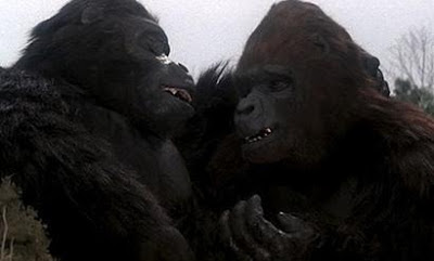 Dog Food For Chairs: The True Meaning of Thanksgiving