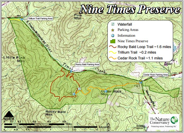 Femme au foyer: Nine Times Preserve