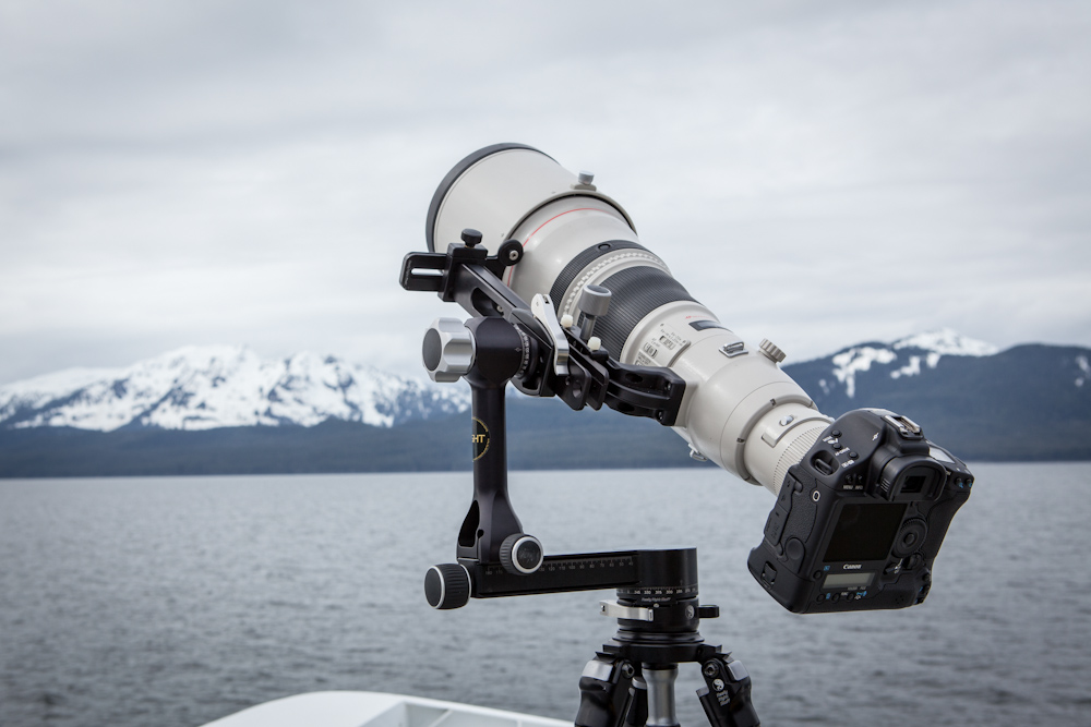 LIGHT Photographic Workshops: Long Lens + Stability = Great Performance