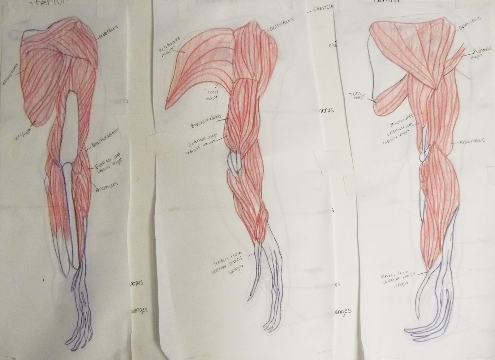 Michelle Rakar's Art Cave: February 2012