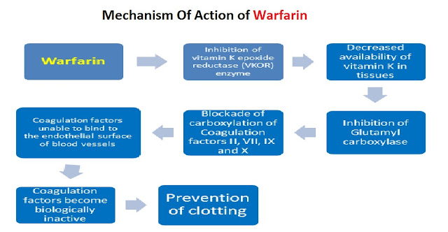 Drug Interactions Simplified: Drug Interactions of Anticoagulants (Part 1)