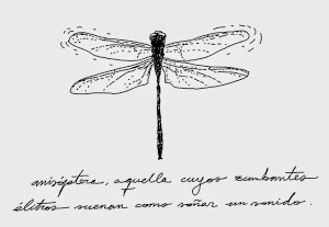 El tiempo de la Libélula: FRASES Y REFRANES PARA REFLEXIONAR:!