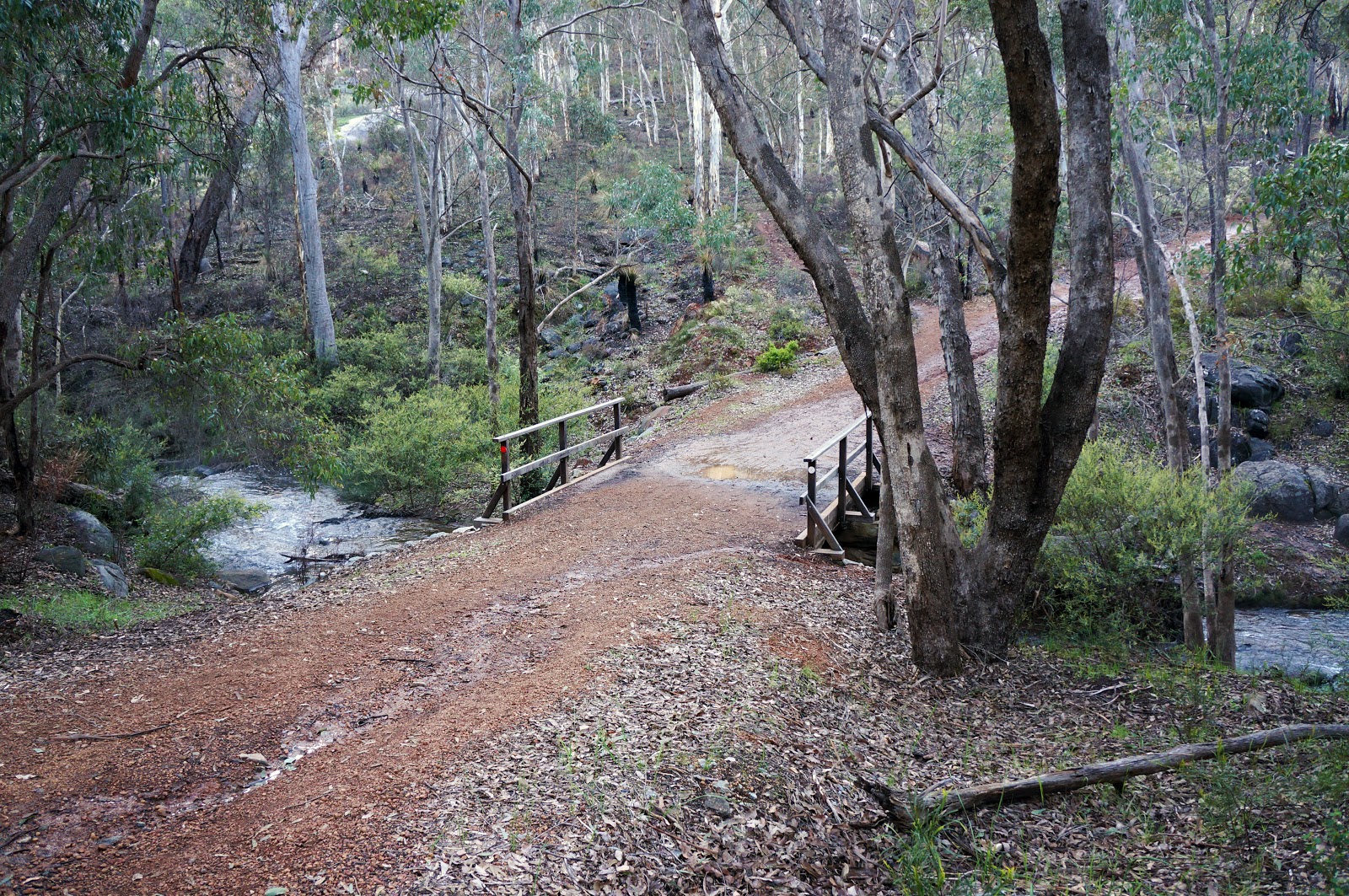 Piesse Gully Loop (Kalamunda National Park) ~ The Long Way's Better