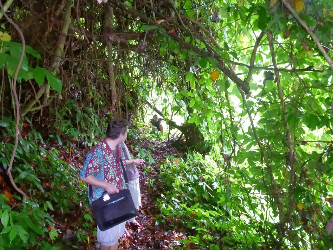 Saul and Chelsia: Over the Moon and Back: Aoloau Bay