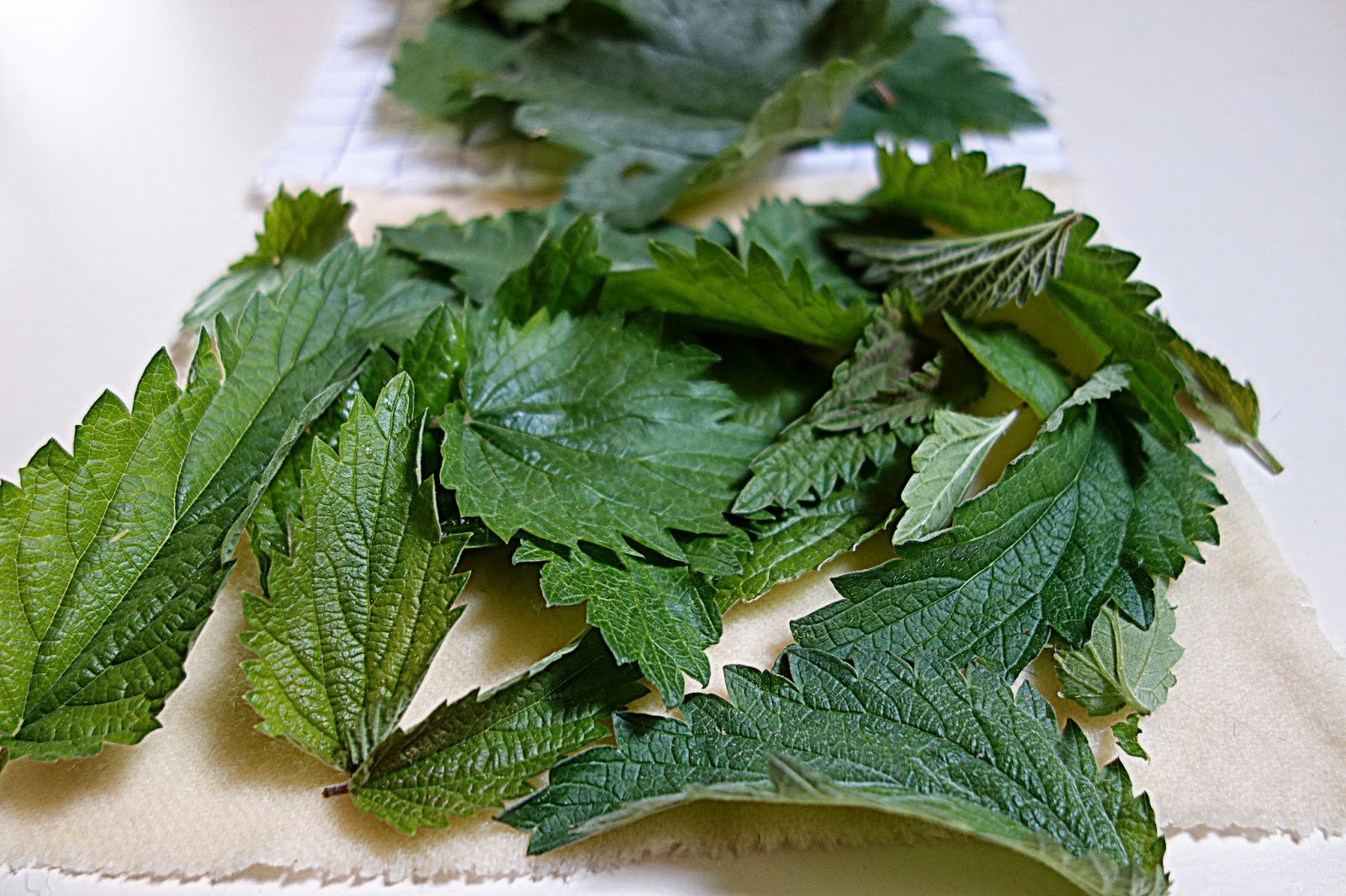 woman with wings: May 2014