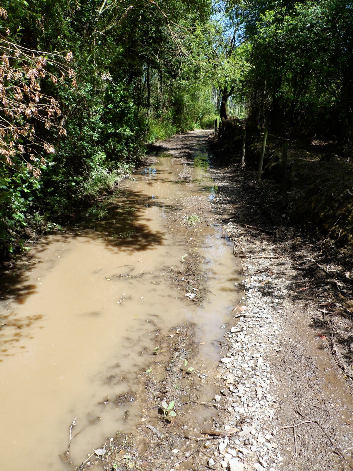 Senda BTT: Apeadero FEVE de Avilés - Embalse de Trasona - Monte'l Pando ...