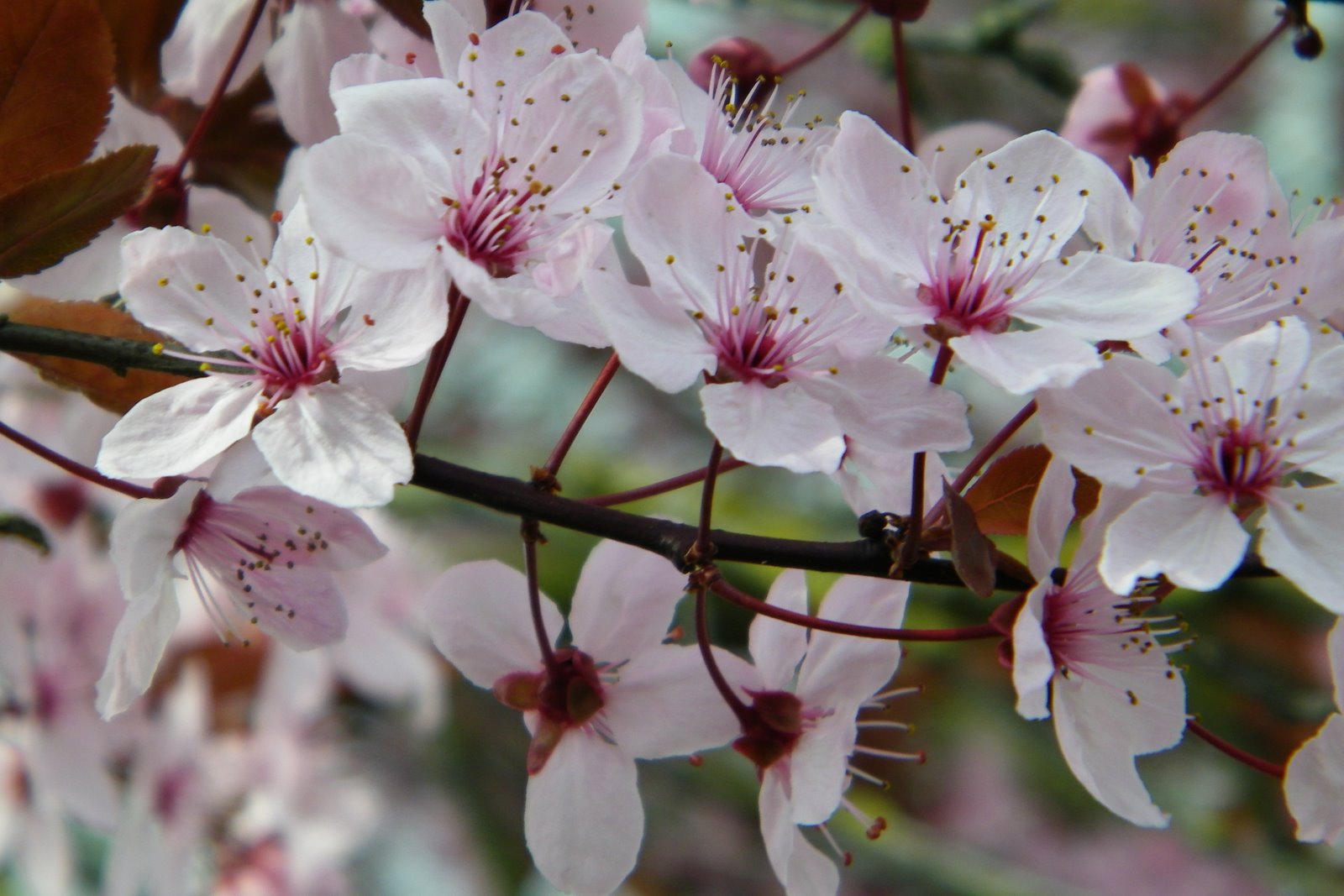 Andiamo: 21 maart: Lente!