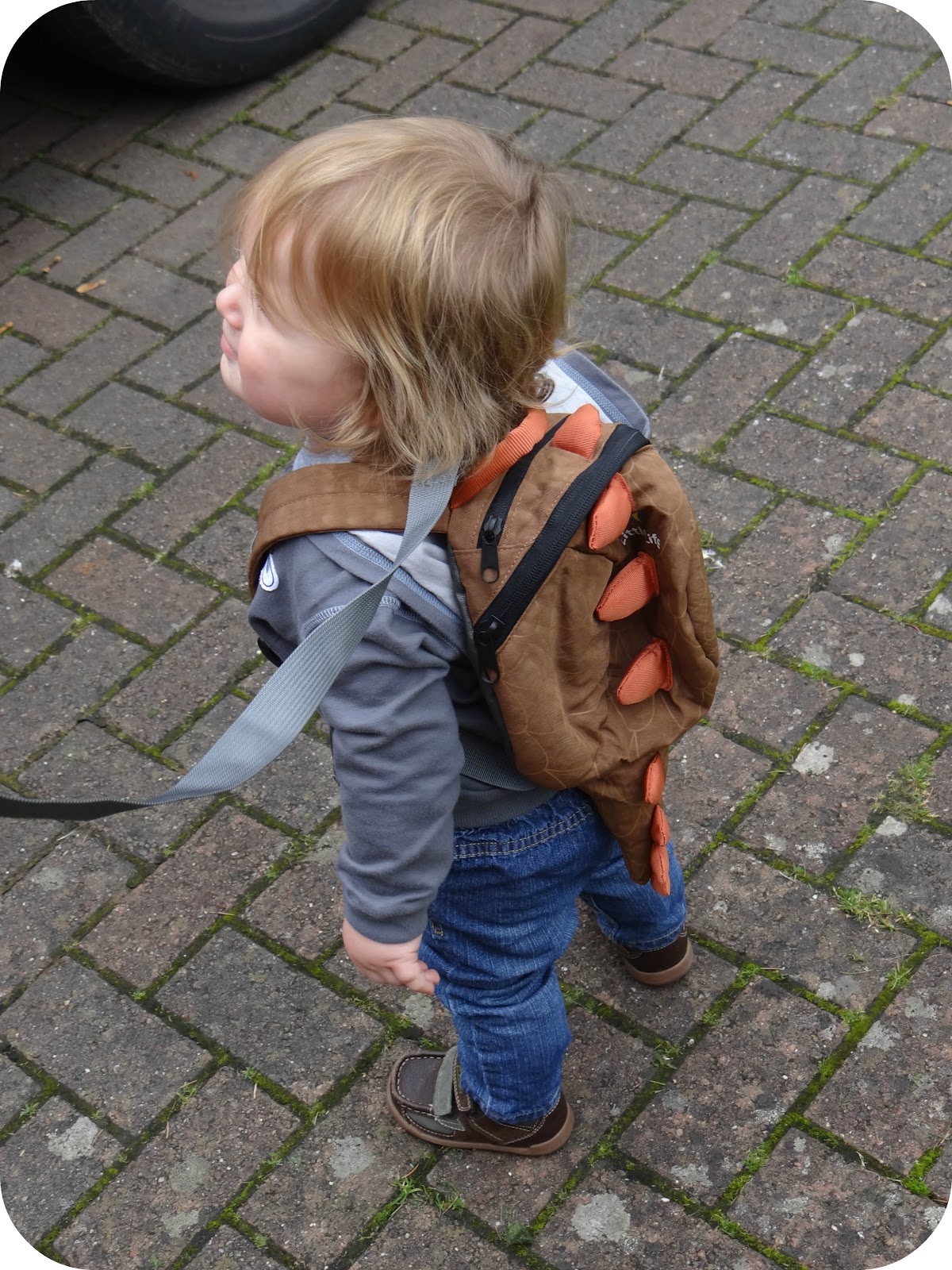 Life Unexpected: The Little Life Day Sack Review & Giveaway!