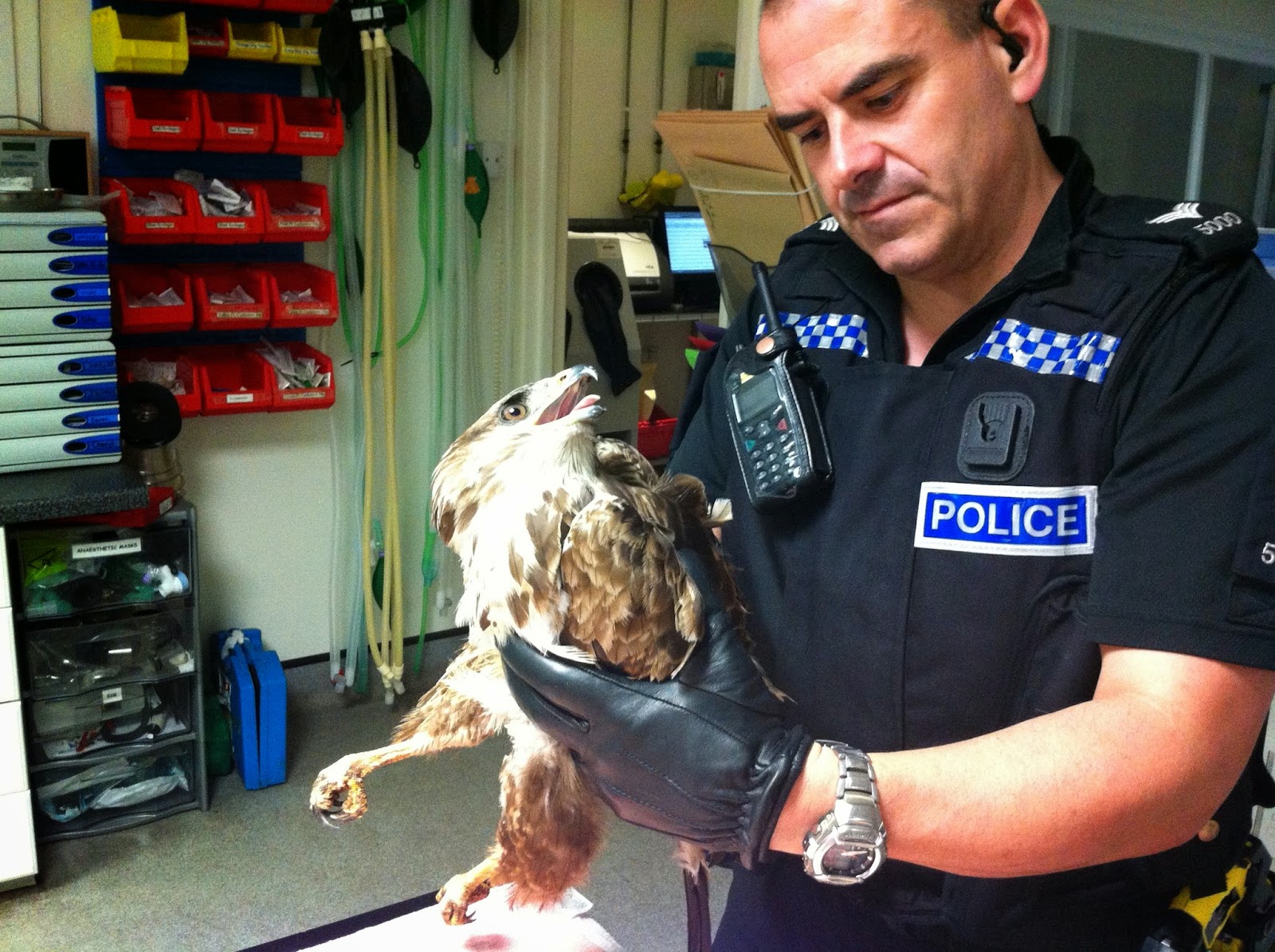 Devon and Cornwall Police Wildlife Crimes Group