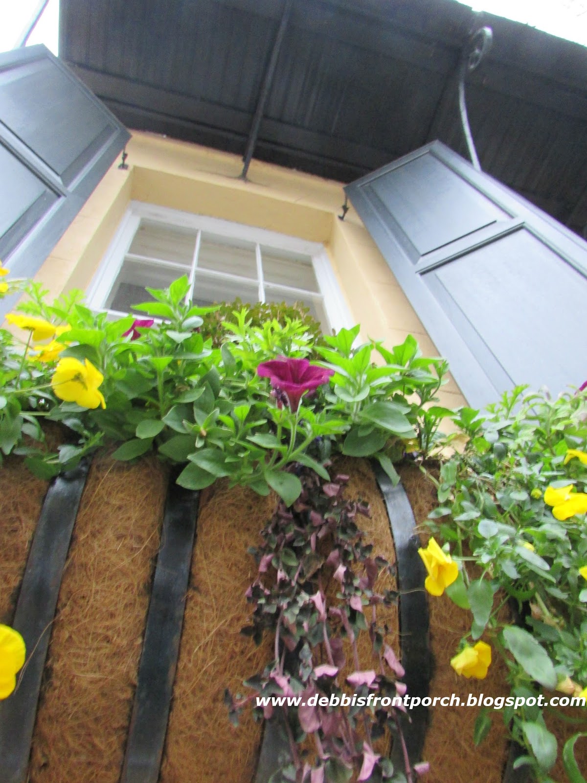 Debbi's Front Porch: Window Boxes