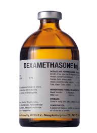 Profil Obat : DEXAMETHASONE - Be a Nurse