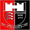 Pie and Mushy Peas: Collier Row FC
