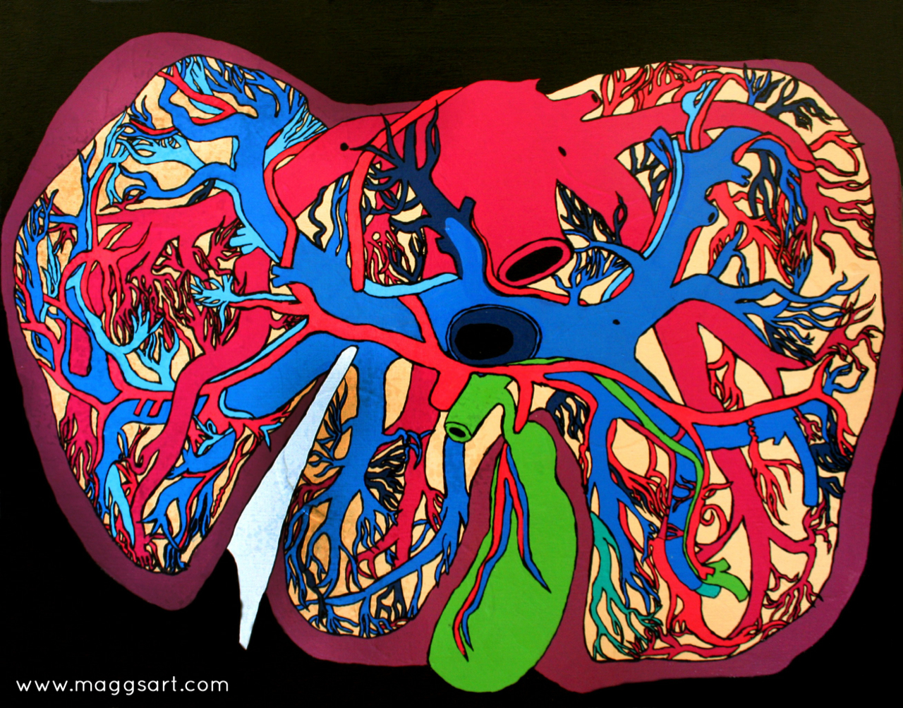 Pinturas de anatomía