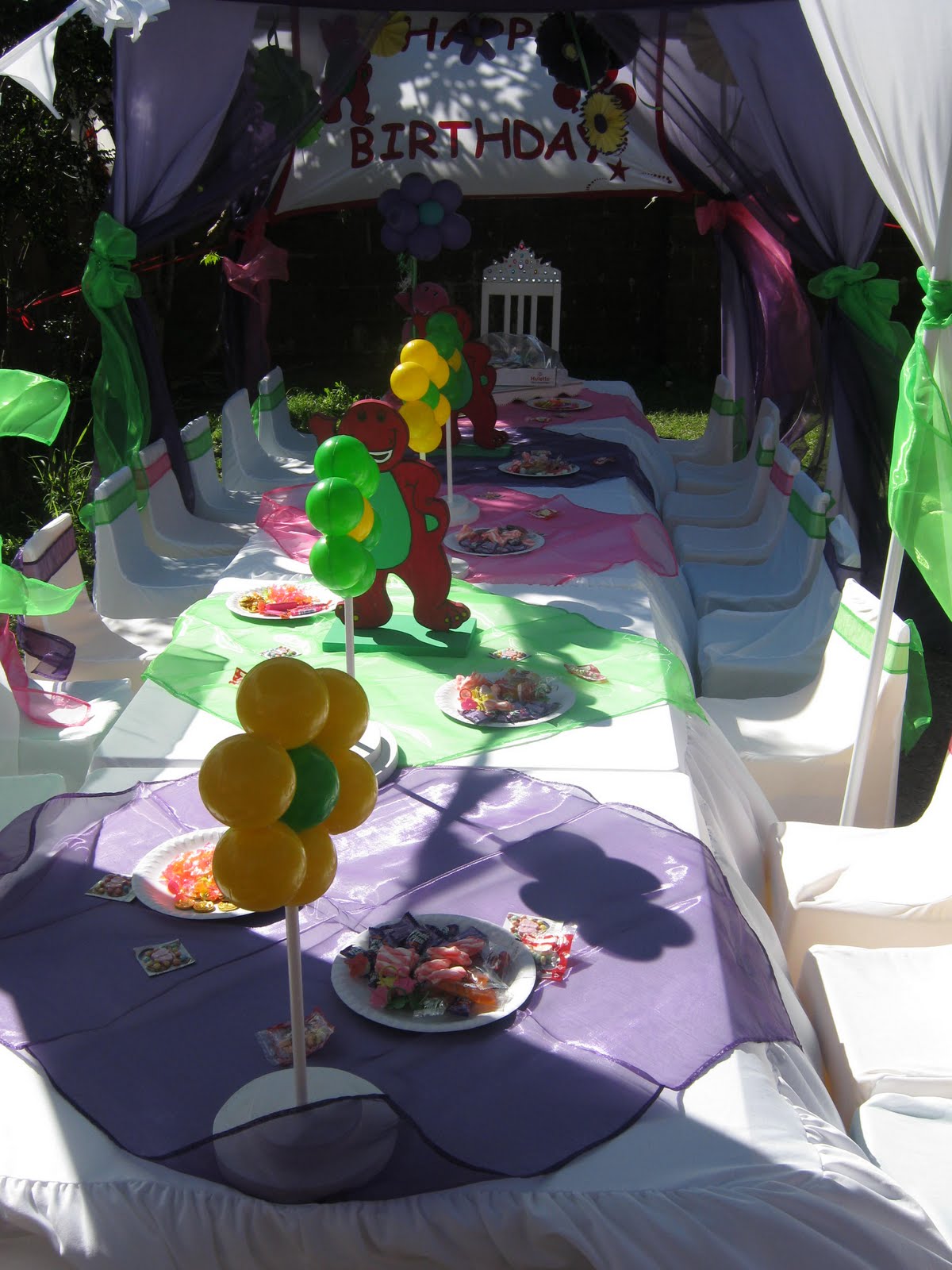 Kids Dream Parties: Alexis-Barney Party