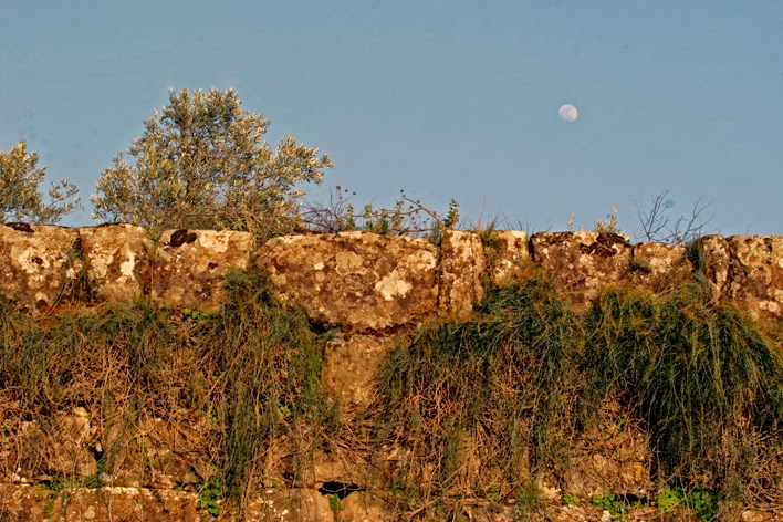 Define Normal: El ecosistema de Stratos antigua - Το οικοσύστημα της ...