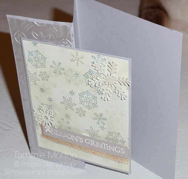 Tammie Stamps: Blizzard Thinlits Die Negative Space Cards