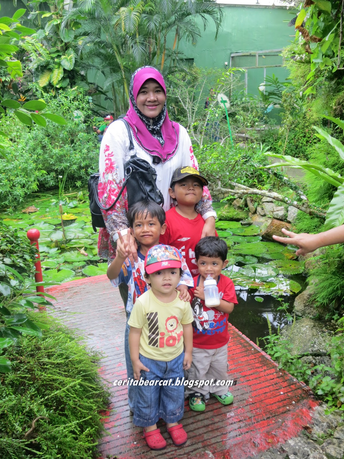 Cerita Bearcat: Taman Rama-Rama, Teluk Bahang, Penang