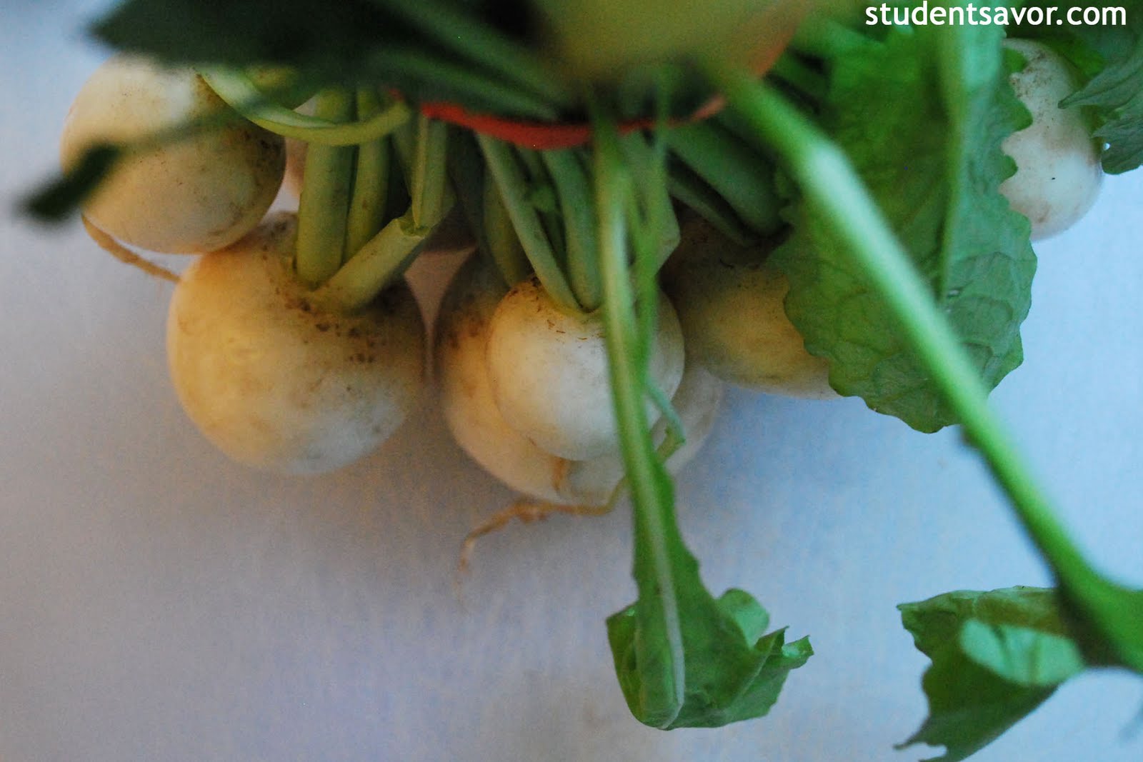 STUDENT SAVOR: Mustard Glazed Turnips