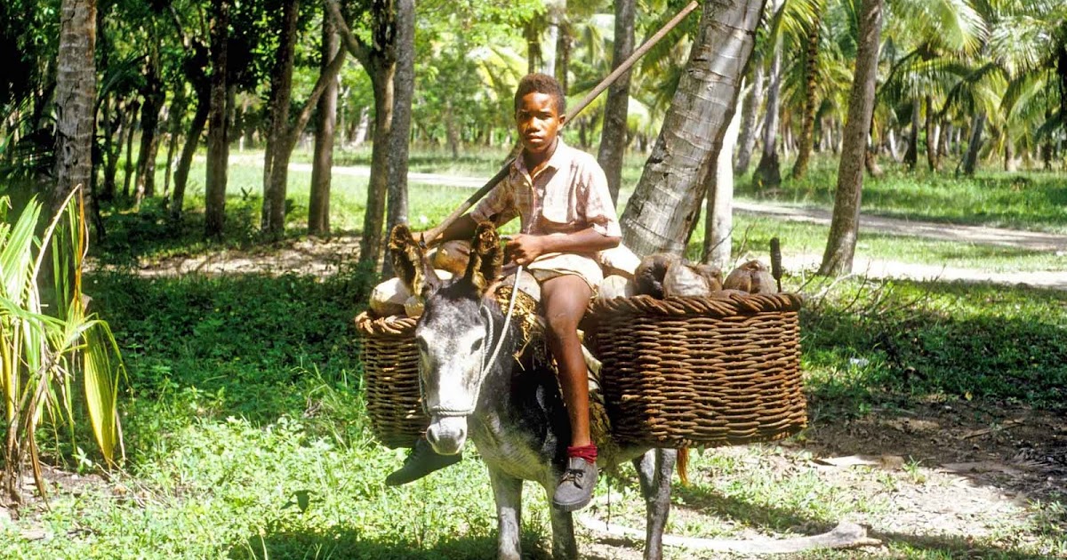 Geographically Yours: Samana, Dominican Republic