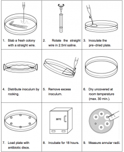 Antibiotic Sensitivity Test