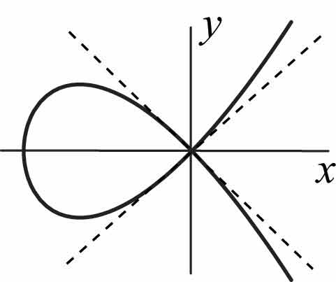 MAA Books: Algebraic Curves: Questions and Challenges