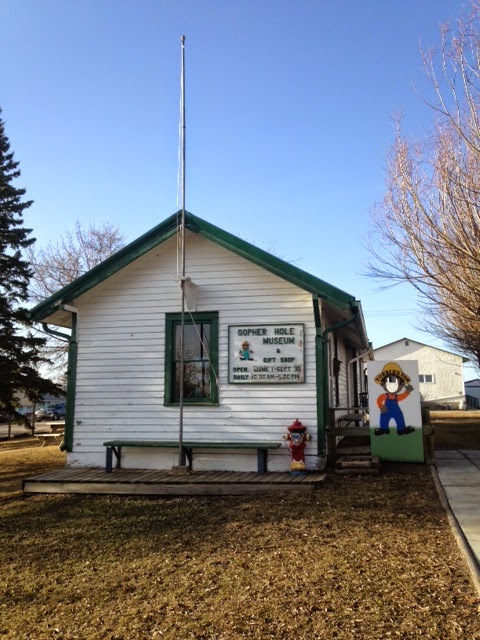 The view from here: Torrington, Alberta