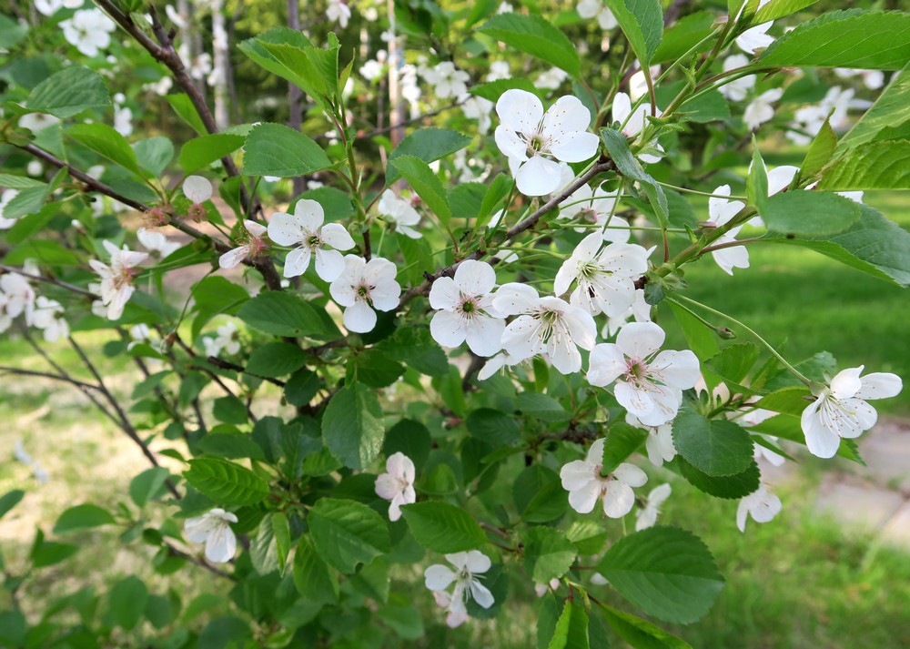 Yhteistä perheliikuntaa