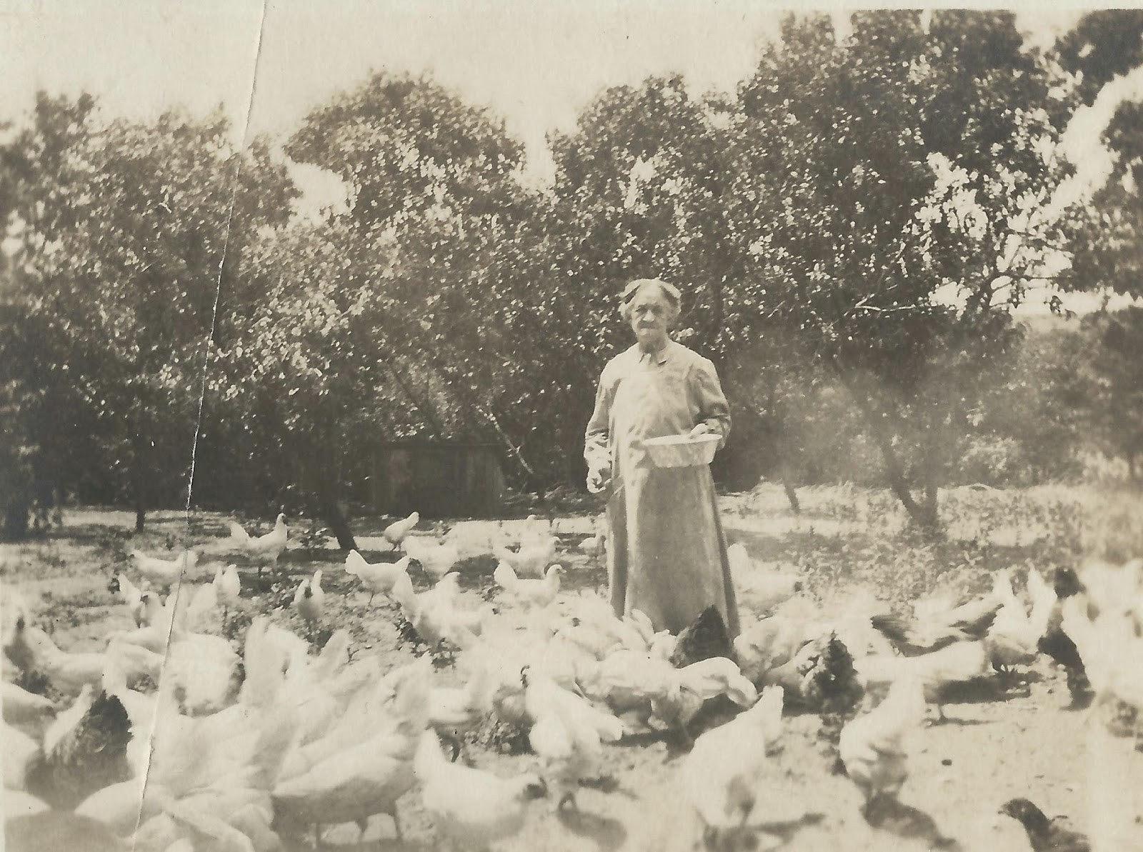 Catch up on Geary County History!: Mary Axtell and the Biddies