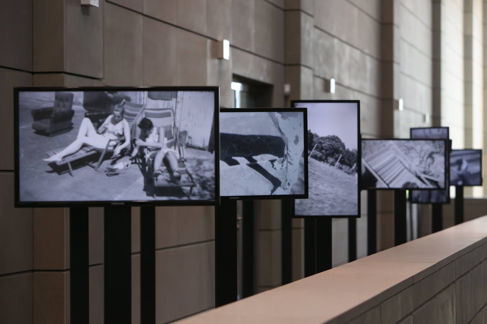 agata kus: exhibitions