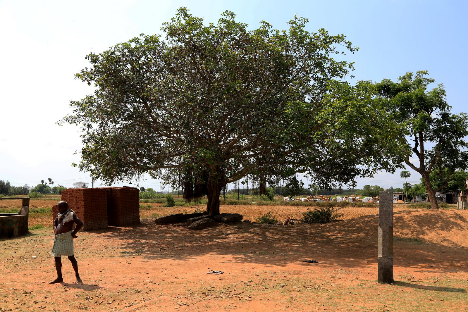 Tamilnadu Tourism: Aadaleswarar Temple, Kayar, Kanchipuram