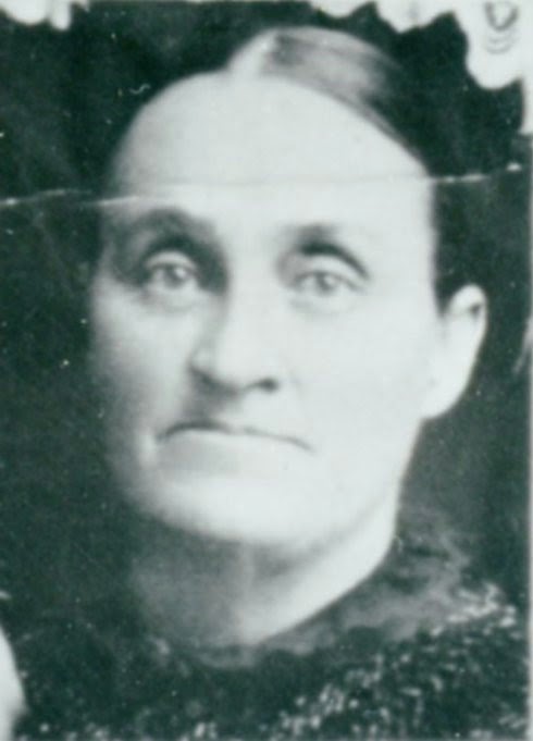 Descendants of Amasa Mason Lyman: July 2014