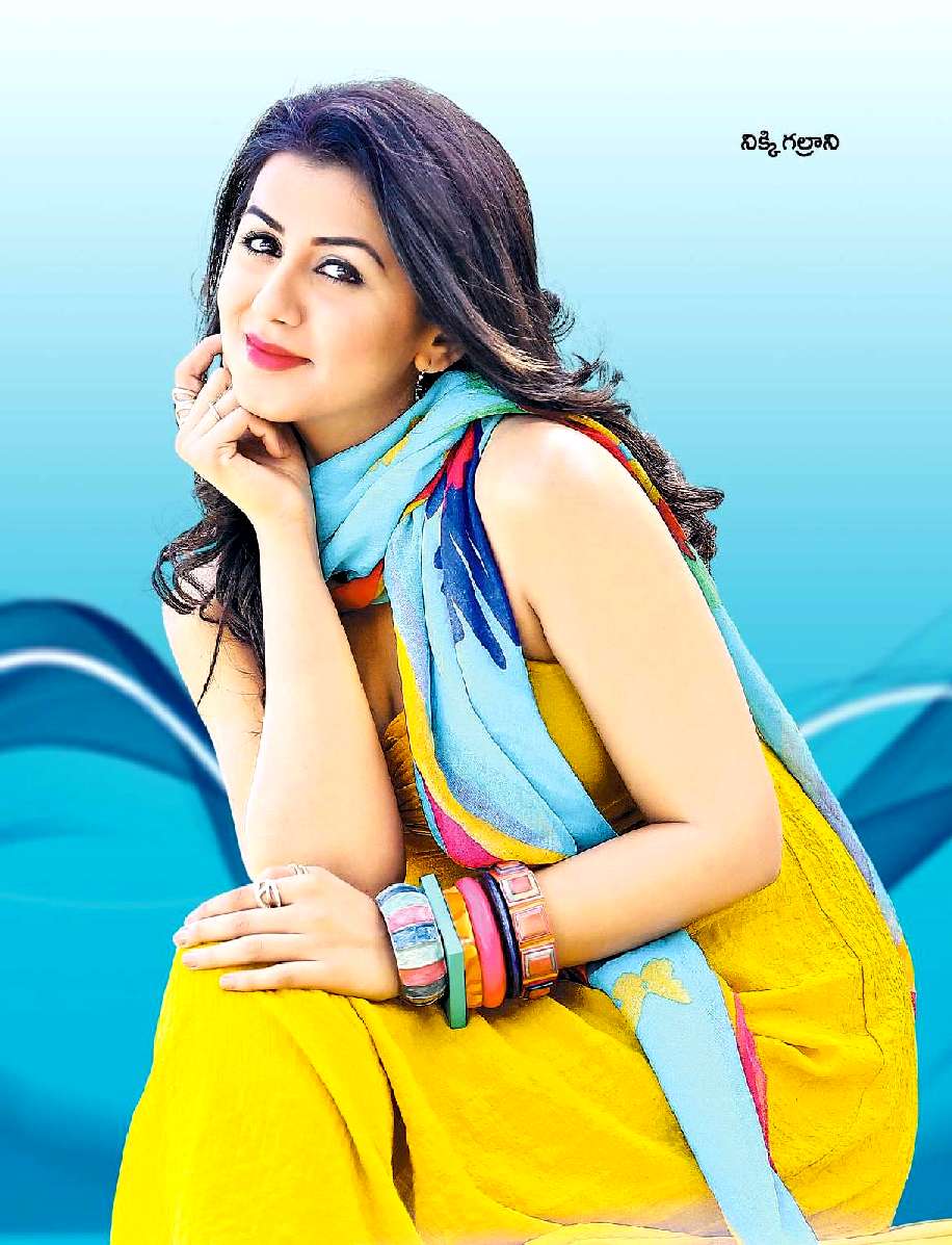 TELUGU WEB WORLD: BEAUTIFUL LIVE POST OF TOLLYWOOD CUTE ACTRESS NIKKI ...
