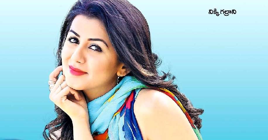 TELUGU WEB WORLD: BEAUTIFUL LIVE POST OF TOLLYWOOD CUTE ACTRESS NIKKI ...