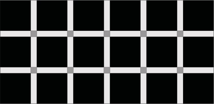 ¿Que son las Retículas?