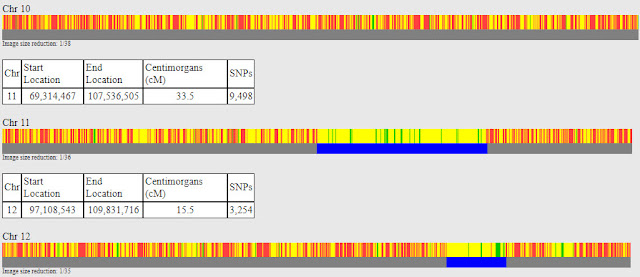 The Ultimate Family Historians: How to use GEDmatch - Part 2