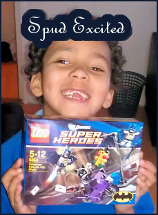 Lego 6858 Review: Catwoman Catcycle City Chase | Unique Young Mum