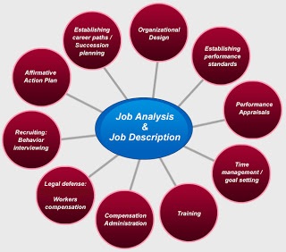 The Important Role of Job Description (JD) in Budding Organizations ...