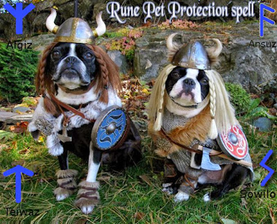 Guide to the Magical Path: Rune Protection of Animals