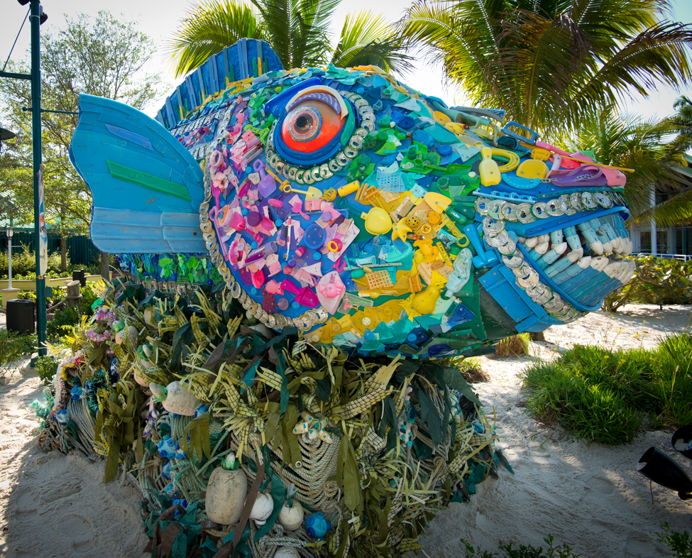 NewsPlusNotes: SeaWorld Kicks Off 50th Anniversary Celebration