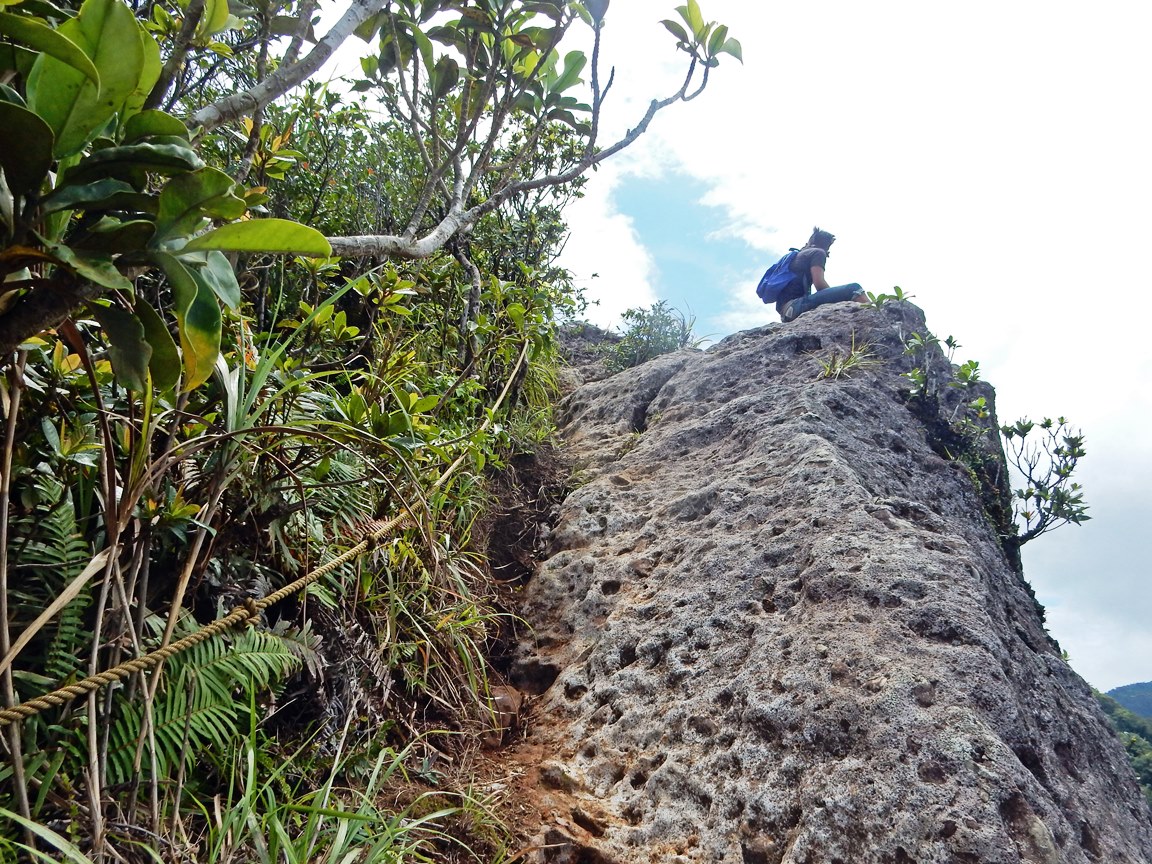 the viewing deck: Mt. Makiling (1,090masl) Traverse Day-Hike (Sto ...