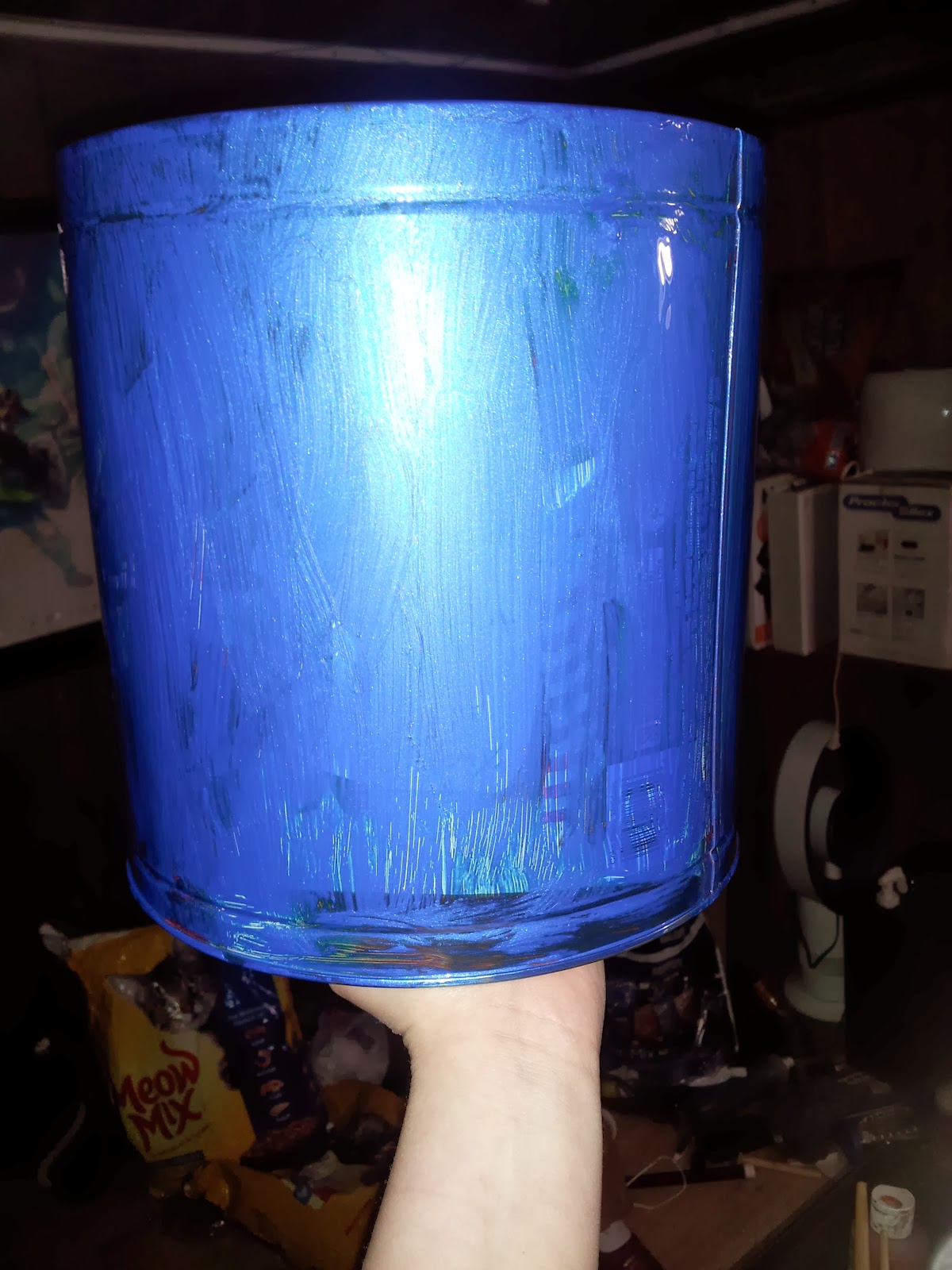 EnvyNeko's Crazy Projects