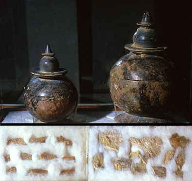 The Kapilavastu Controversy Part IV | Sand Prints