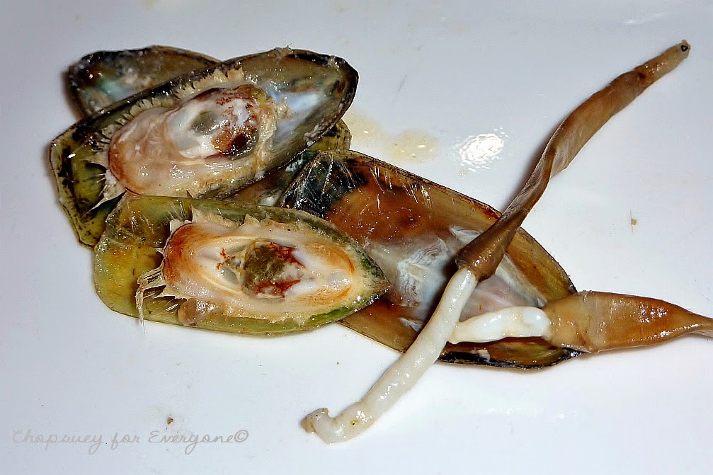 Chopsuey for Everyone: Balay Shells