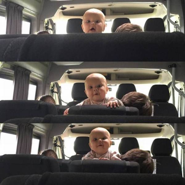 Random Pictures Of The Day (24 Pics). Part 2